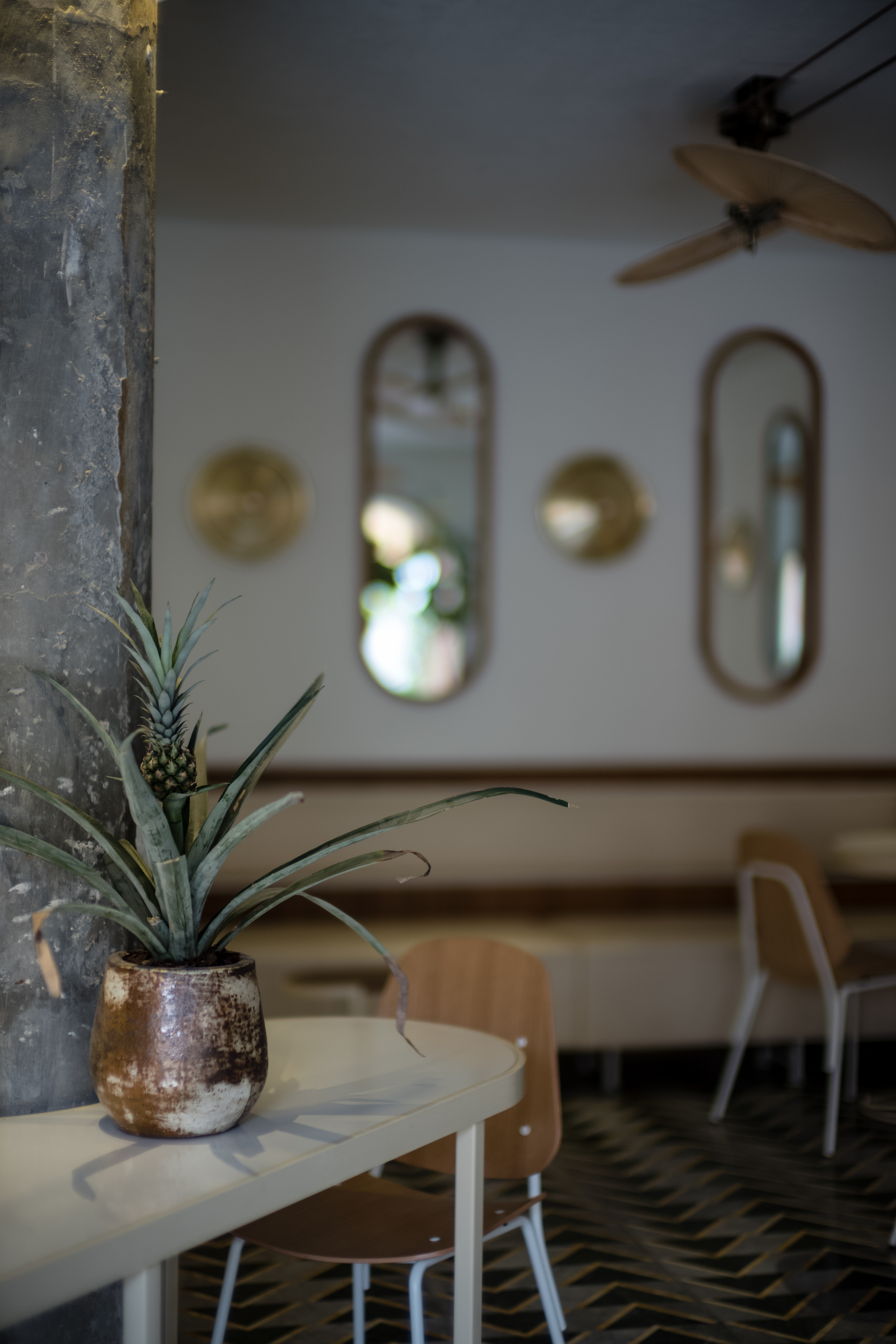 Ananas | Maha Alessa | Kuwait City